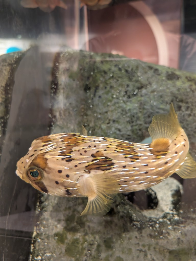 Florida Oceanographic Coastal Center, Hutchinson Island, Stuart, FL ...