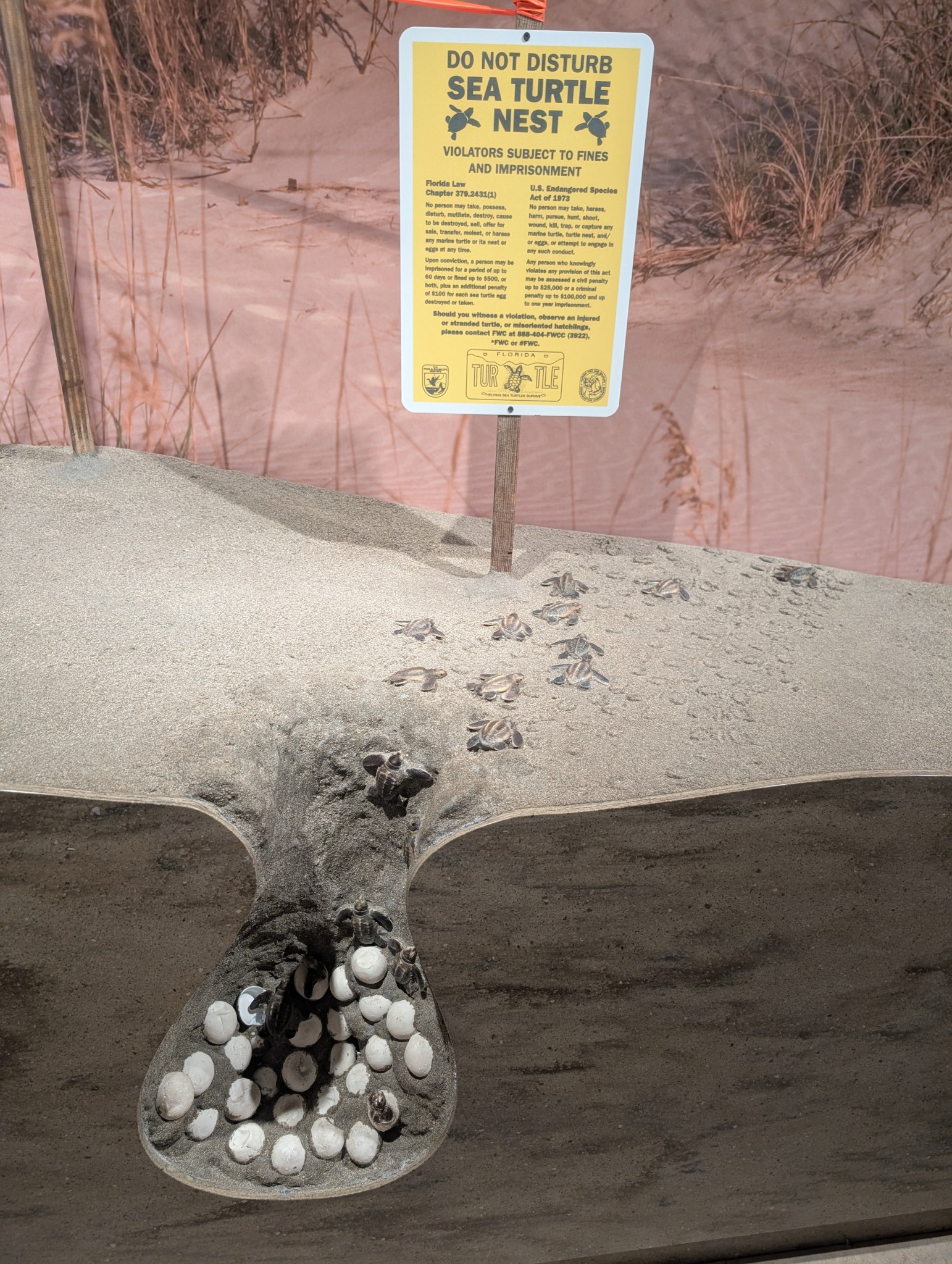 Florida Oceanographic Coastal Center, Hutchinson Island, Stuart, FL ...
