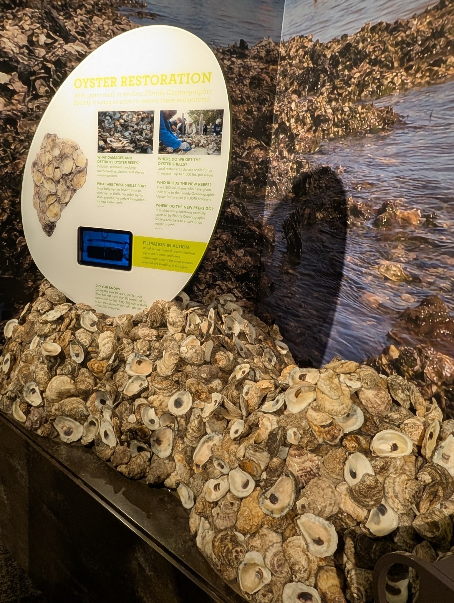 Florida Oceanographic Coastal Center, Hutchinson Island, Stuart, FL ...